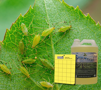 ARBICO Organics Gardening Supplies and Biological Pest Control Products
