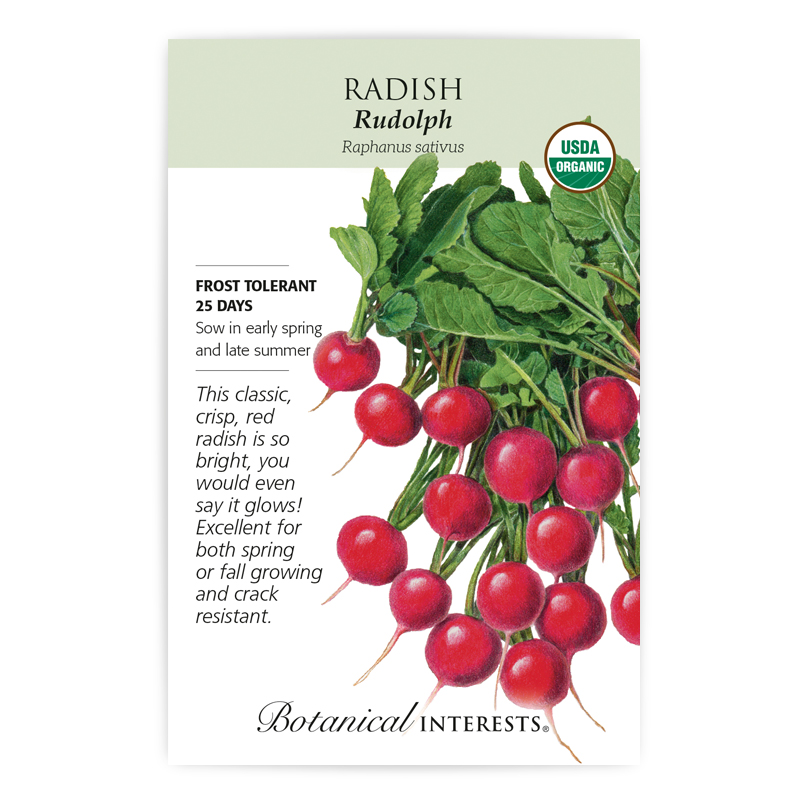 Rudolf Radish Seeds Home & Living Outdoor & Gardening etna.com.pe