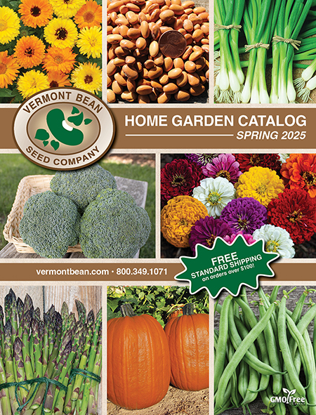 Spring 2026 Vermont Bean Seed Catalog, : Horticultural Products & Services