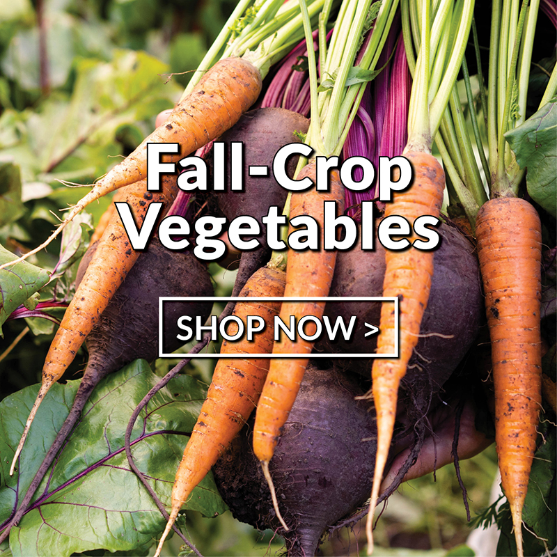 Vegetable Seed, Flower Seed, and Garden Supplies | Jung Seed