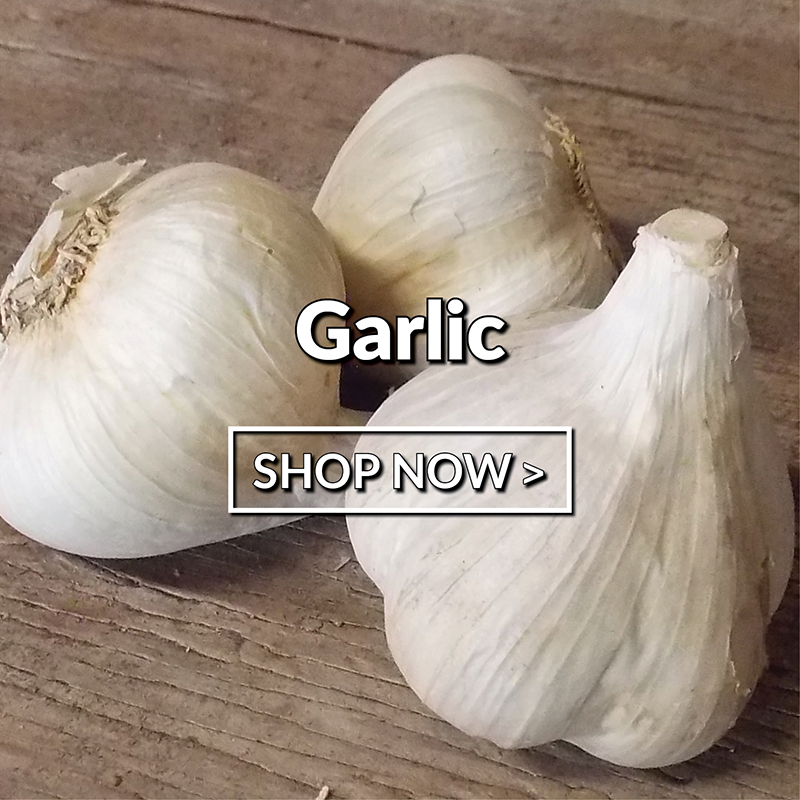 Jung Seed: Vegetable Seed, Flower Seed, and Garden Supplies