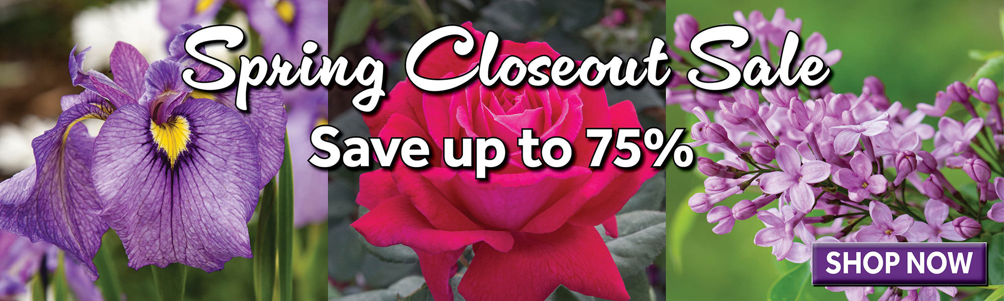 Jung Seed: Vegetable Seed, Flower Seed, and Garden Supplies