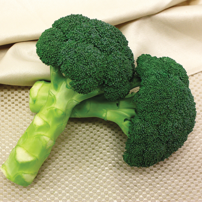 Green Magic Hybrid Broccoli, Broccoli: J.W. Jung Seed Company