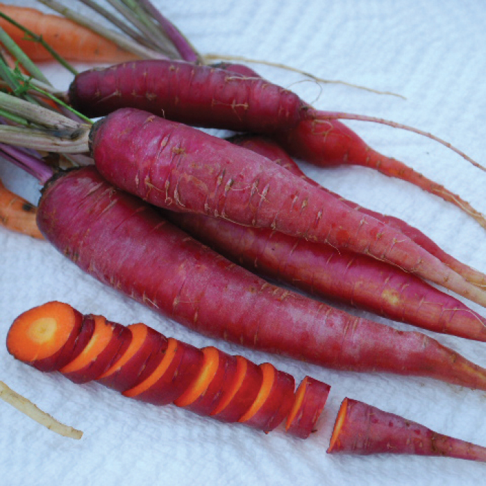 Dragon Carrot, Carrot: J.W. Jung Seed Company