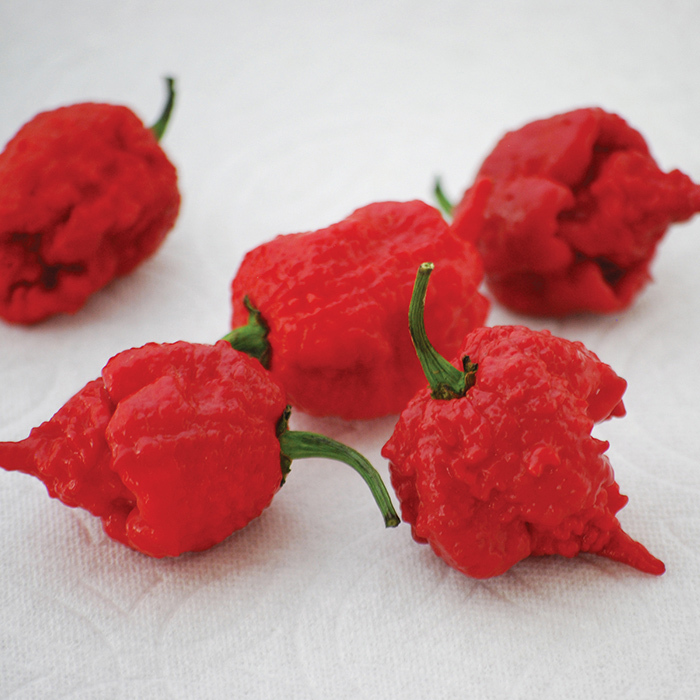 Carolina Reaper Extract Carolna Reaper Seeds | 15 Premum Hot Pepper ...