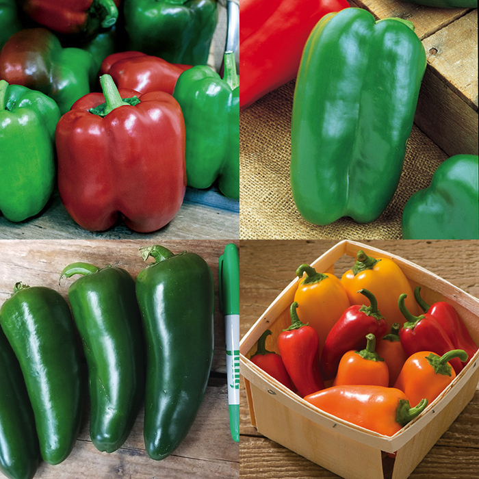 Pepper Plant Sampler, Sweet Non-Bell: J.W. Jung Seed Company