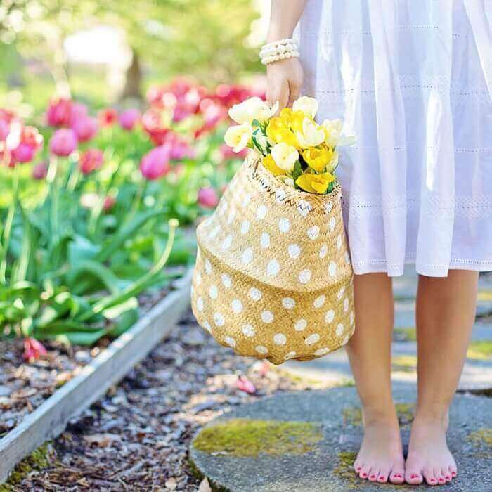 Jung Seed: Vegetable Seed, Flower Seed, and Garden Supplies