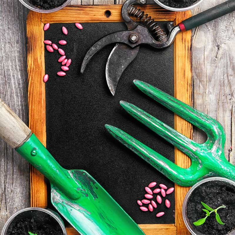 Jung Seed: Vegetable Seed, Flower Seed, and Garden Supplies