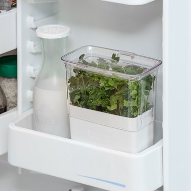 Fresh-Cut Herb Keeper | Lehman's