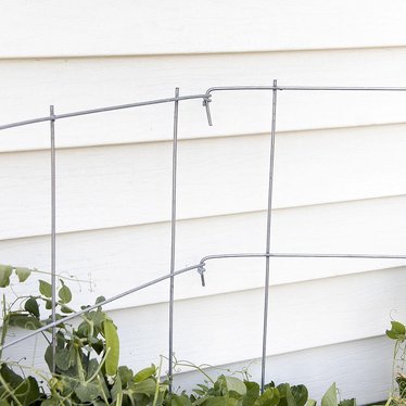 Pea Fence/Straw Bale Fence - Set of 2, Seeds and Planting - Lehman's