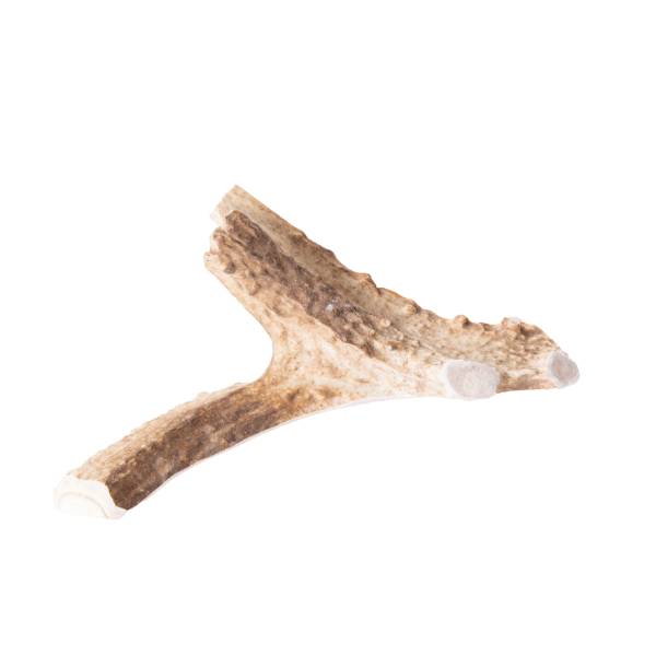 Premium Split Deer Antler Dog Chew, Treats | Lehman's