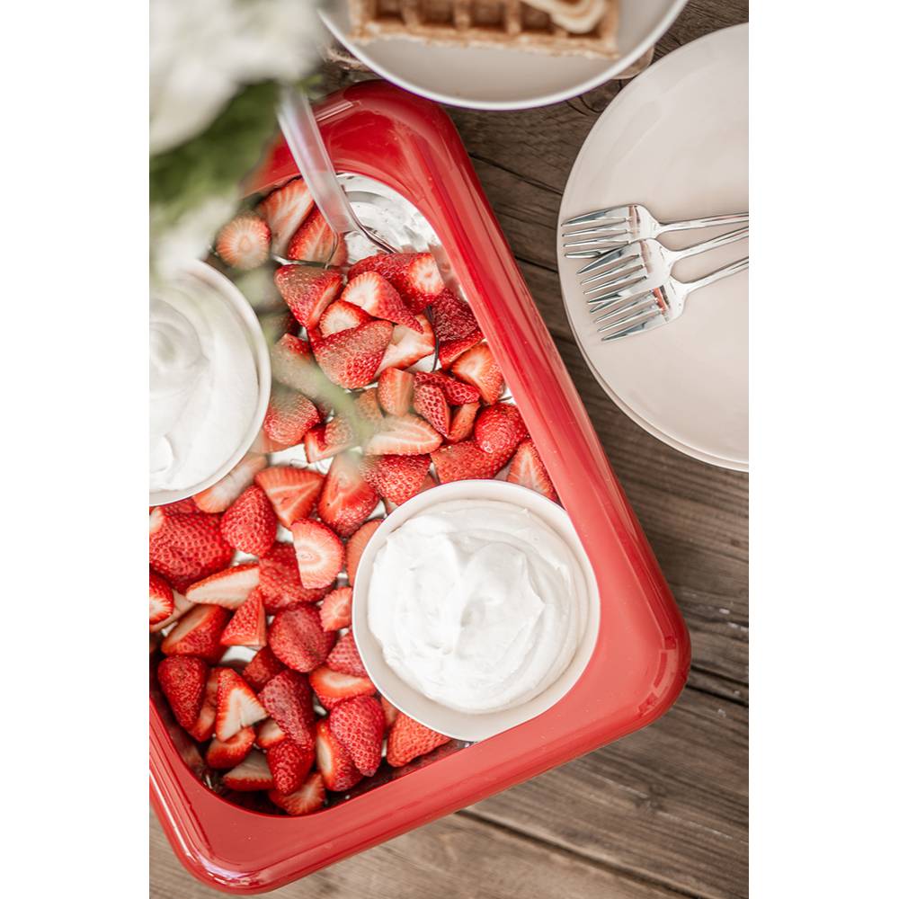 Fancy Panz for Foil Pans, Storage and Serving | Lehman's