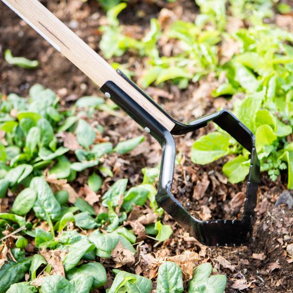 Push-Pull Hoe, Cultivating and Weeder Hoe | Lehman's