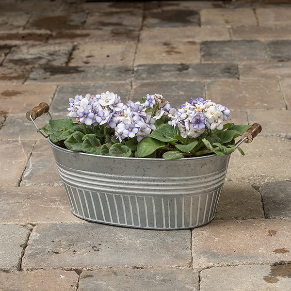 Galvanized Basin Planter | Lehman's