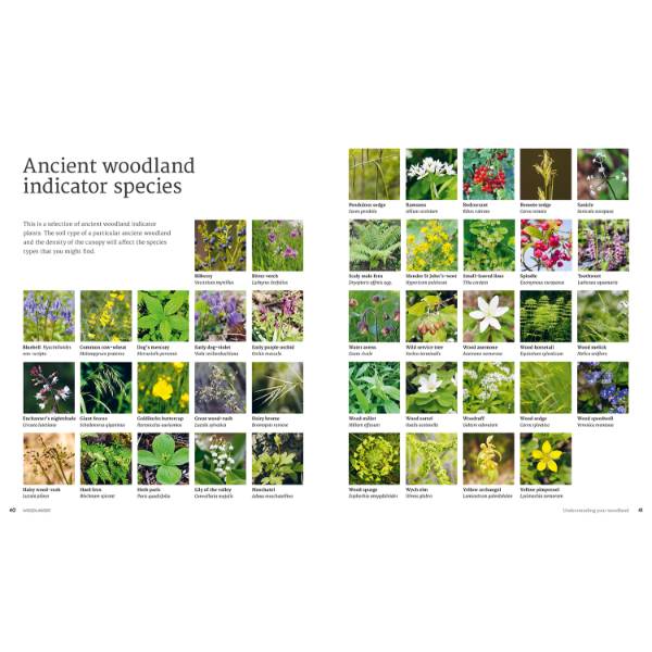 Woodlander Book | Lehman's