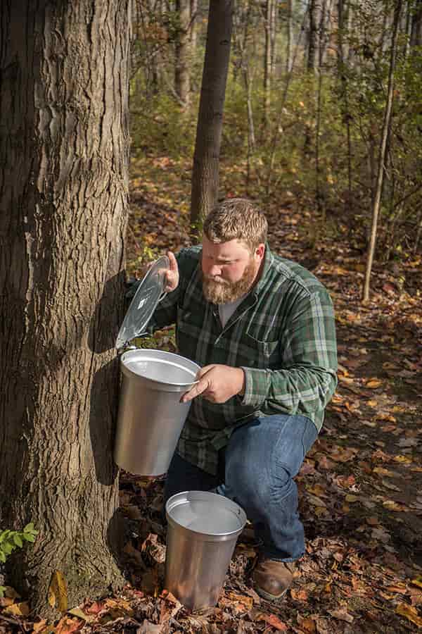Maple Sugaring Starter Kit | Lehman's