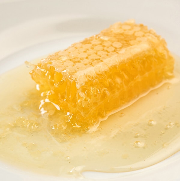 Pure Honeycomb, Pantry | Lehman's