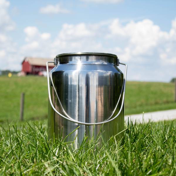 Small Stainless Steel Milk Cans - 10L | Lehman's
