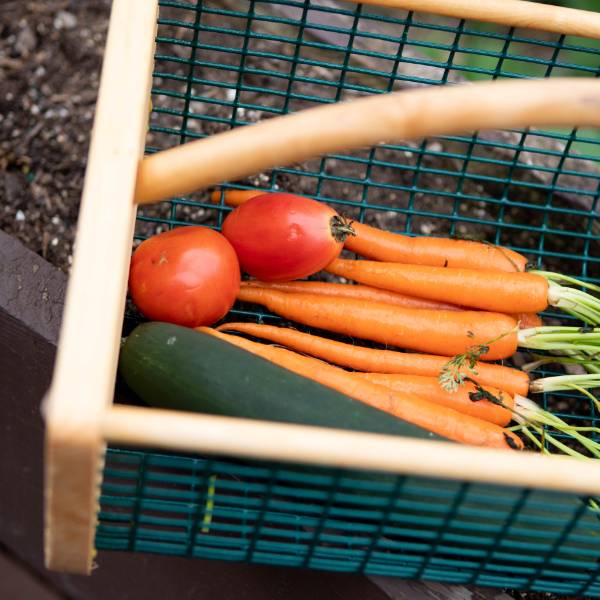 Maine Garden Hod Basket, Gardening Accessories | Lehman's