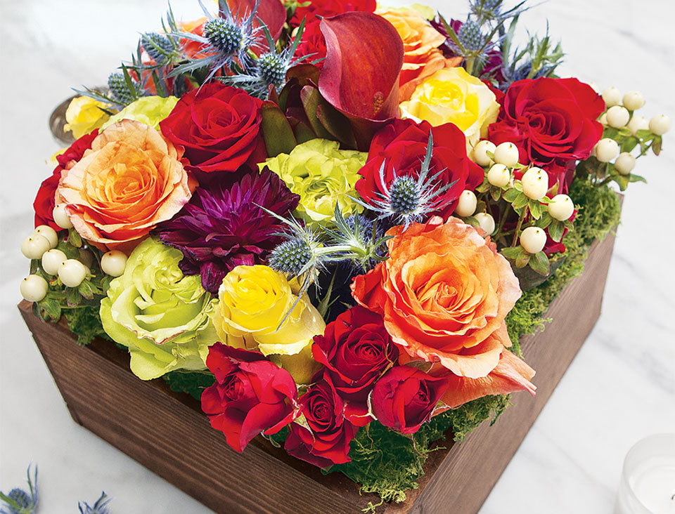 Unique Gift Baskets, Floral Arrangements, & More Gifts | Olive & Cocoa