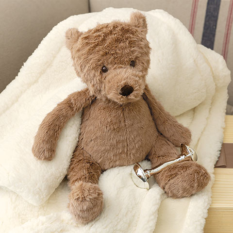 Teddy Bear Welcome Crate: Olive & Cocoa
