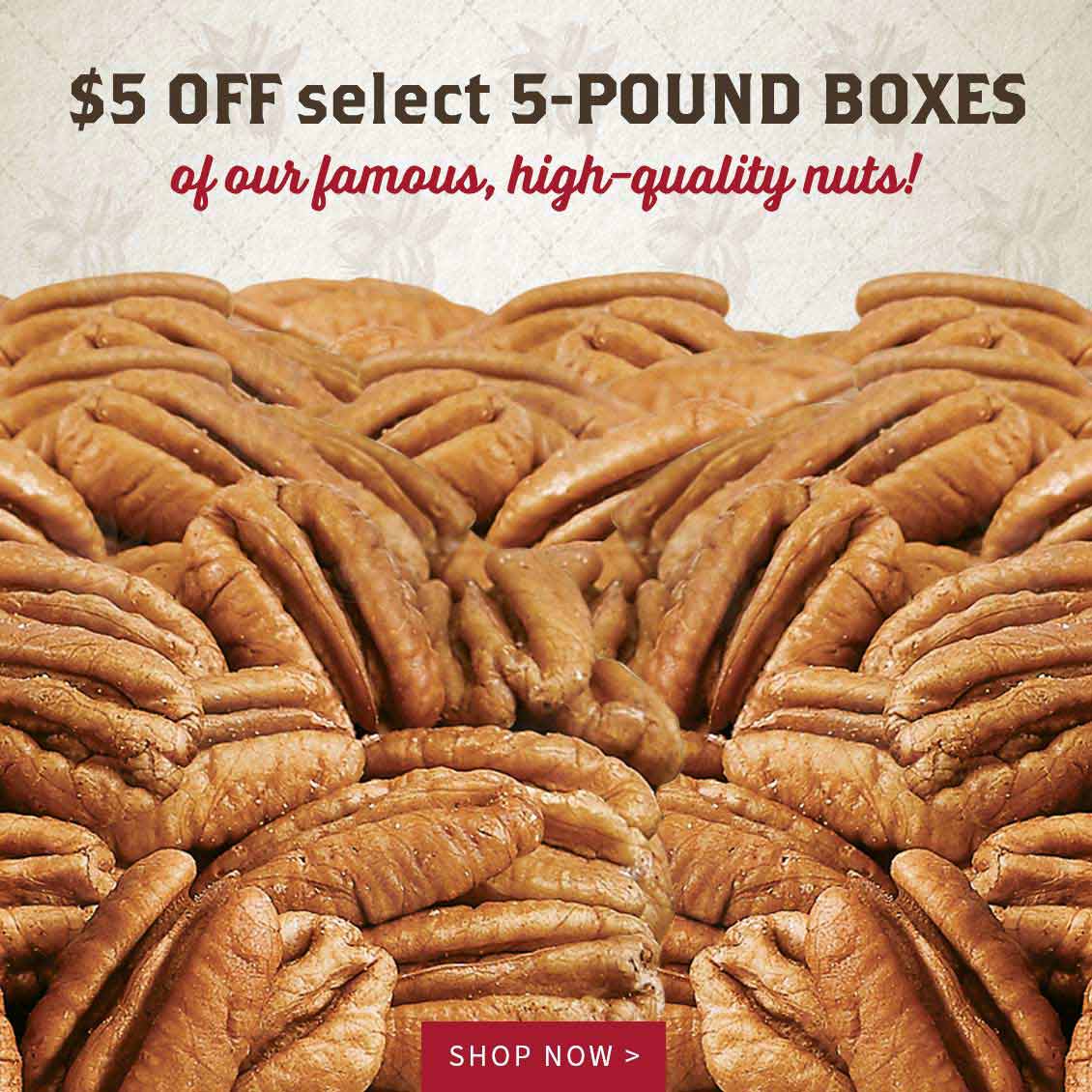 Fresh Nuts, Southern Candy, Baked Goods, and More | Priester's Pecans