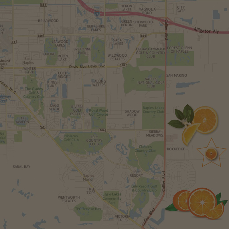 Florida Citrus For Sale - South Naples Citrus Grove