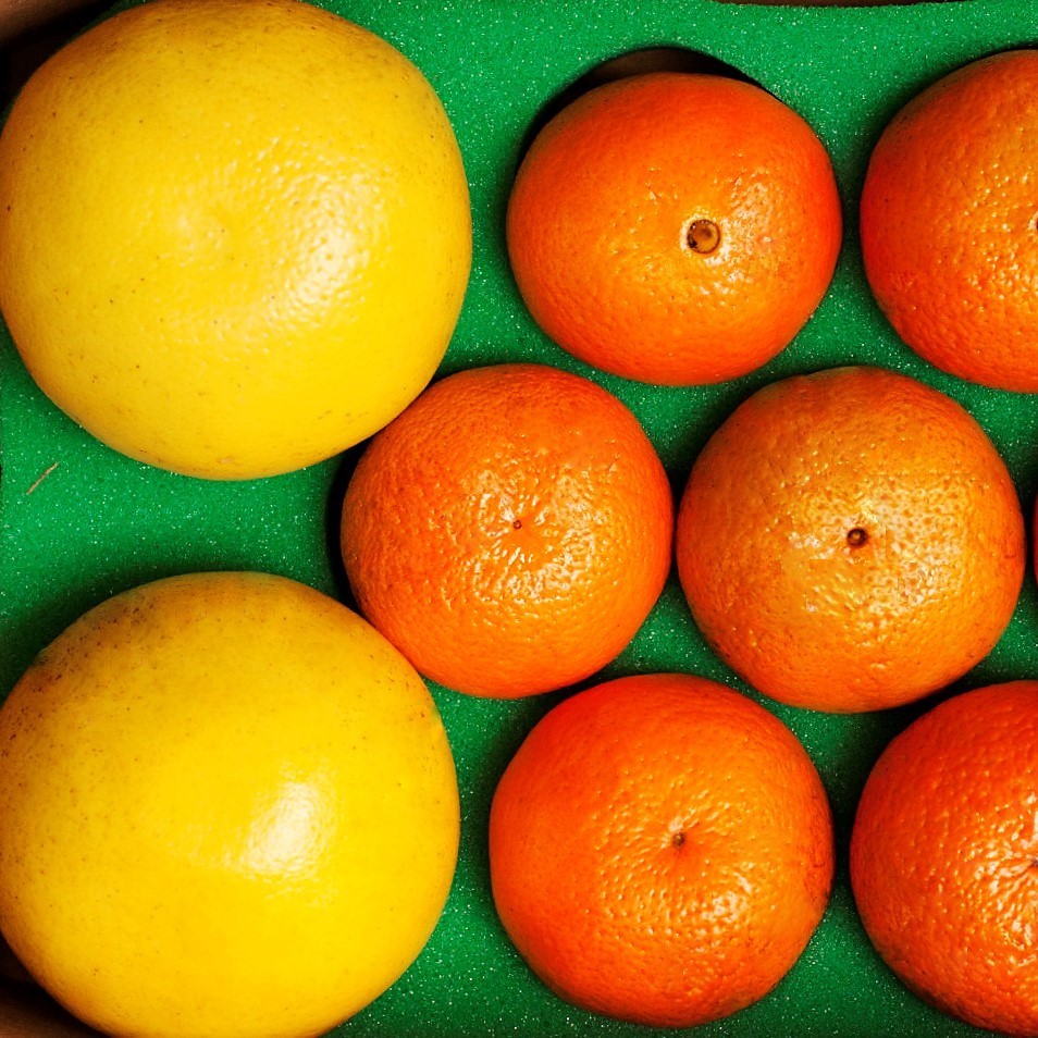 Citrus Combinations: South Naples Citrus Grove
