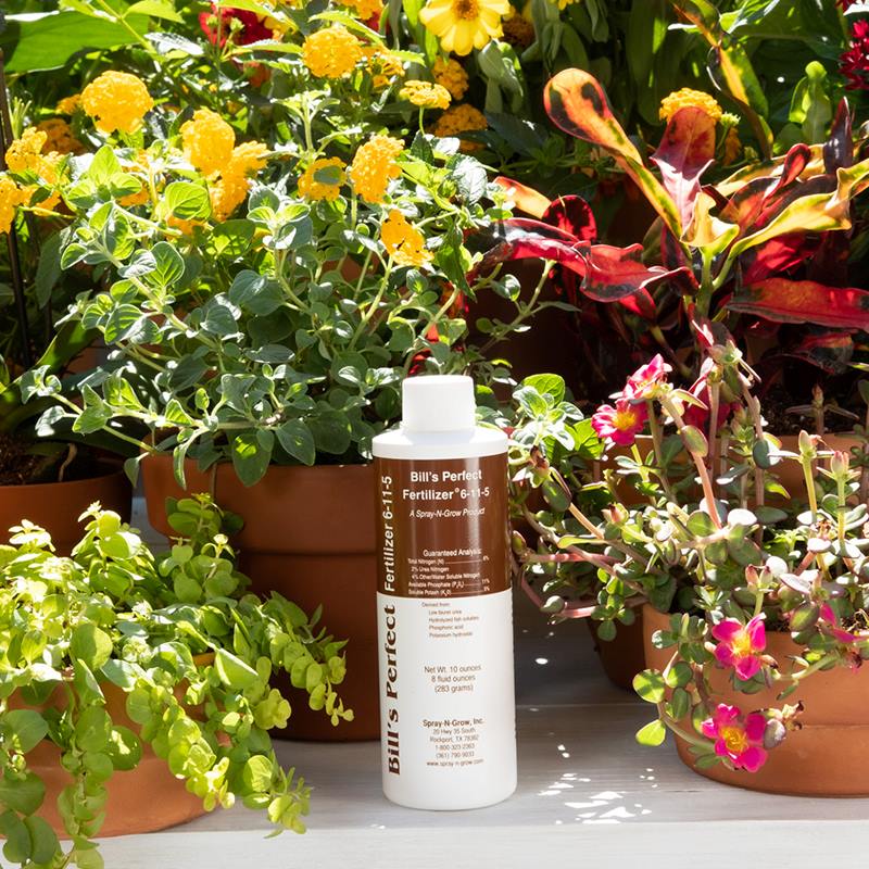 Bill's Perfect Fertilizer: Spray-N-Grow