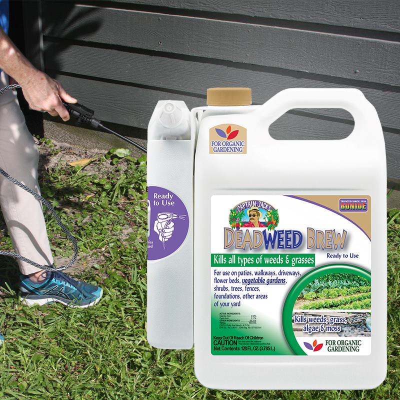 Weed Control: Spray-N-Grow