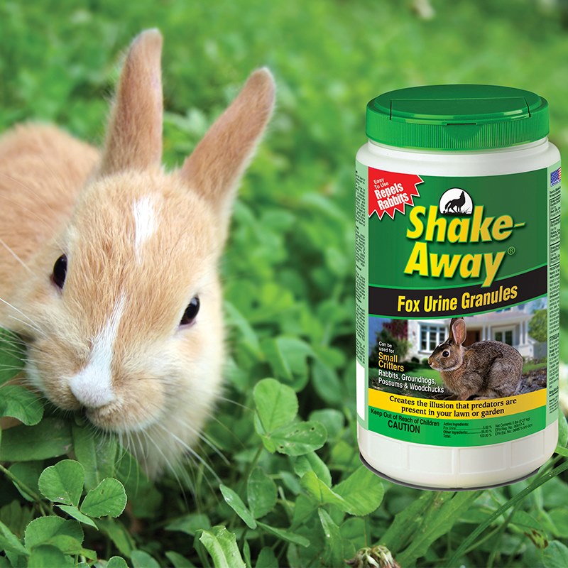 Animal Repellents: Spray-N-Grow