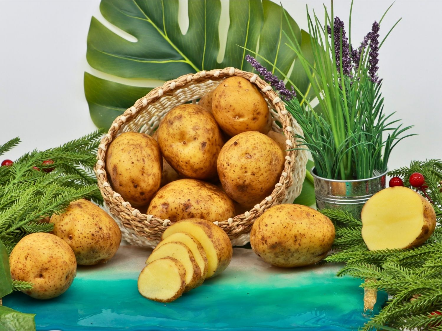 Naturally Grown | Baltic Rose Seed Potatoes