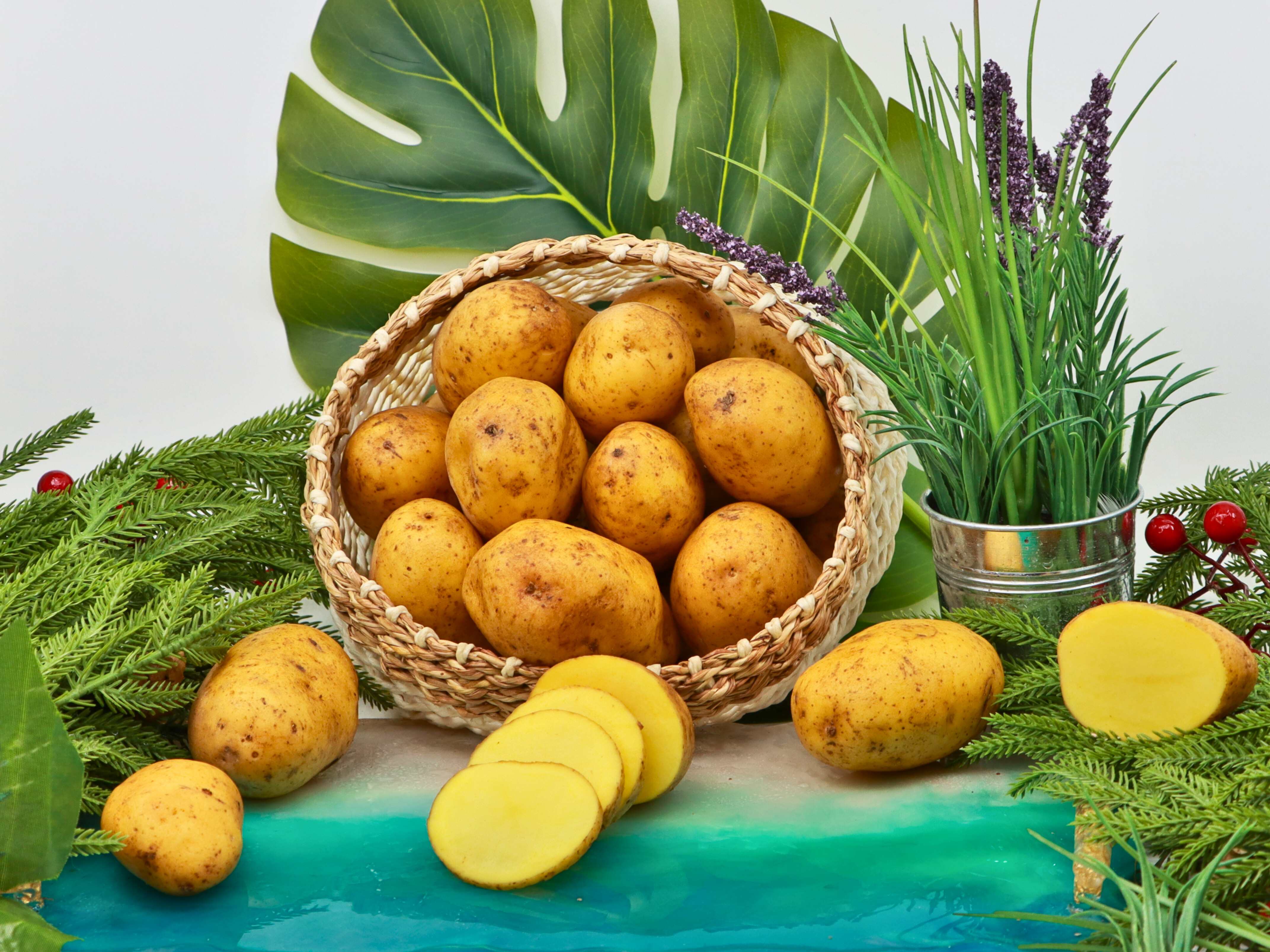 Naturally Grown | Jelly Seed Potatoes